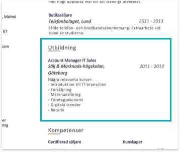 Skriva CV 5 Steg Till Ett Perfekt CV CV Mall