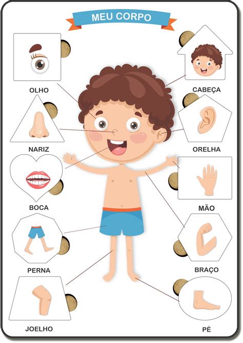 Ciências Vida e evolução partes do corpo humano Conexão Escola SME