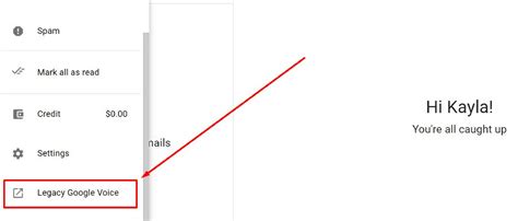 How To Delete Google Voice