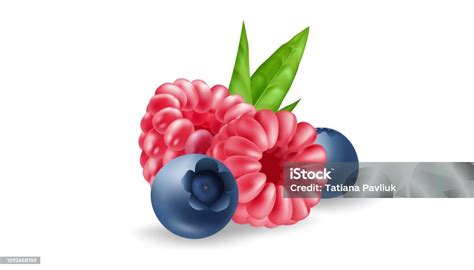 블루베리와 라즈베리의 육즙이 많은 사실적인 베리 컬렉션 신선하고 유기농 과일은 3d 벡터 그림으로 그려져 있다 건강 및 식품 디자인에 적합합니다 열매 더미 근접 촬영 0명에
