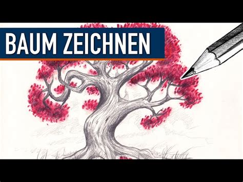 Baum Zeichnen Komplette Anleitung Für Eine Baum Zeichnung Mit Tipps