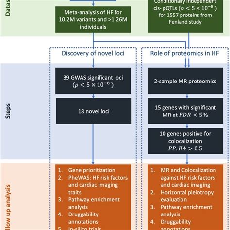 Schematic Diagram Of The Datasets And Analyses HF Heart Failure MVP