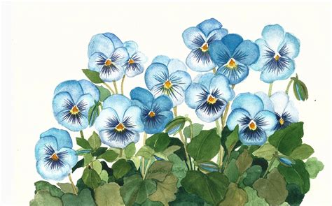 Blue Pansies Reproduction Of An Original Watercolor Painting By Wanda