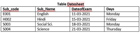 sample question paper for class x information technology 2023 2024 with