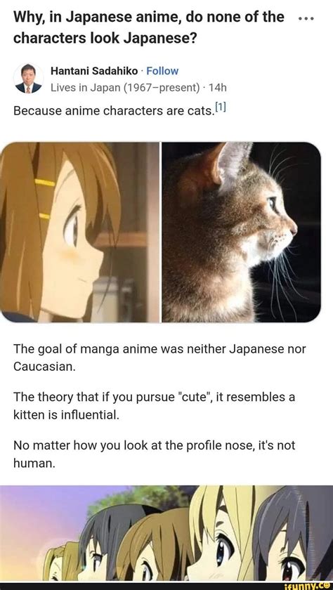 Why In Japanese Anime Do None Of The Characters Look Japanese