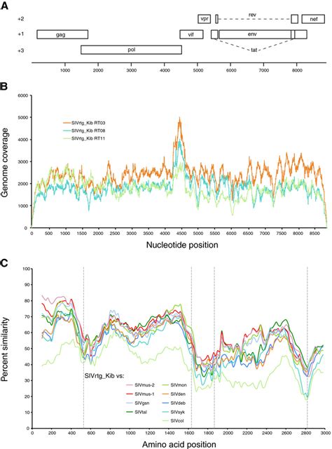 Genomic Organization Deep Sequencing Genome Coverage And Similarity Download Scientific