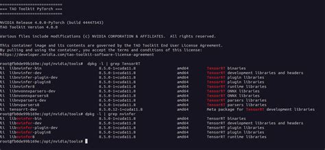 tao converter not working for custom pointpillars tao toolkit