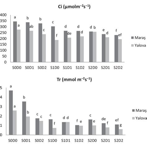Pepper Photosynthetic Rate Pn Intercellular Co2 Content Ci