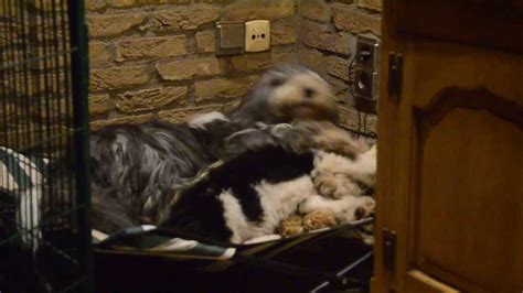 10 January 2014 Jenna And Angel Youtube