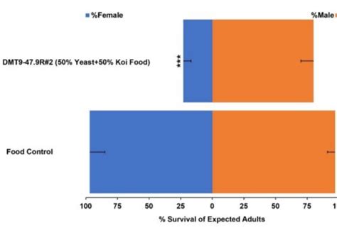 Generation Of A Culex Male Mosquito Sex Separation Rnai Yeast Strain
