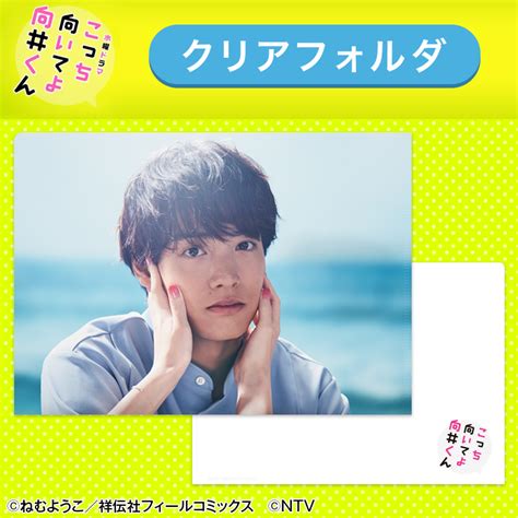 日テレポシュレ 日テレ屋web on Twitter こっち向いてよ向井くん クリアフォルダ販売