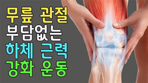 무릎이 불편하여 하체 운동이 힘든 분들을 위해 무릎관절 무리없이 무릎강화 이 운동 하세요[50대 60대 70대 중장년을 위한