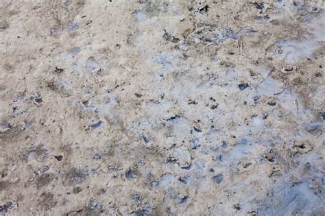 클레이 마스크 뷰티 제품에 사용 하는 모호한 진흙 텍스처의 보기 0명에 대한 스톡 사진 및 기타 이미지 0명 갈색 건강관리와 의술 Istock