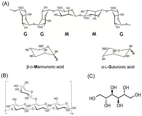 Microorganisms Free Full Text Utilization Of Macroalgae For The