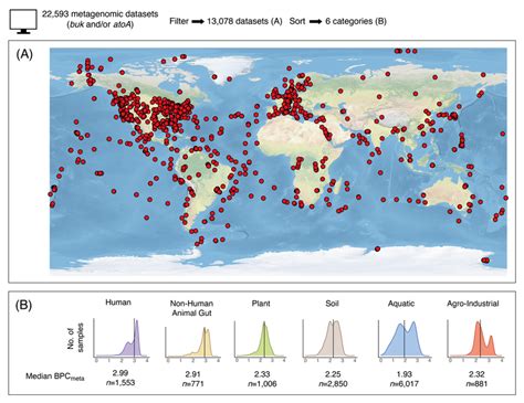 Butyrate Producing Bacteria Are Found On Every Continent In Every