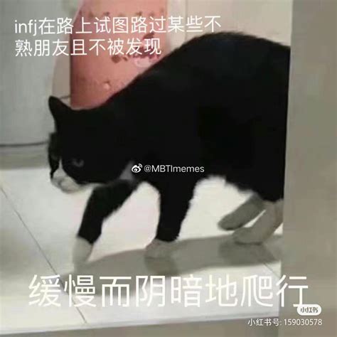INFJ梗图一览 知乎