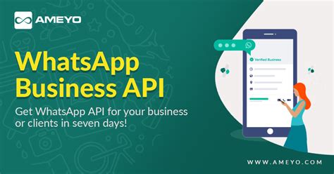 WhatsApp Business API Provide Seamless Communication Ameyo
