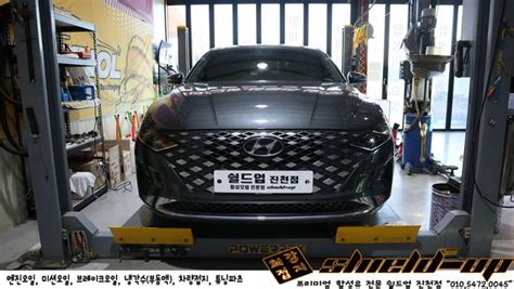 더 뉴 그랜저 르블랑 쉴드업 최강 접지 시공 충청도 자동차 플러스 마이너스 접지 전문점 쉴드업 진천점 네이버 블로그