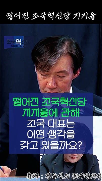 떨어진 조국혁신당 지지율 Youtube