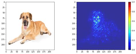 8 Coding A Saliency Map To Understand How A Computer Classifies An Image 👀