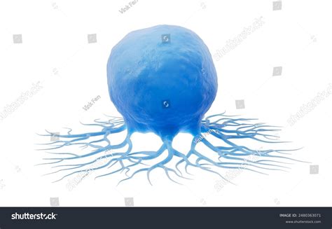 생물학적 암세포 3d 렌더링 3d 일러스트 스톡 일러스트 2480363071 Shutterstock
