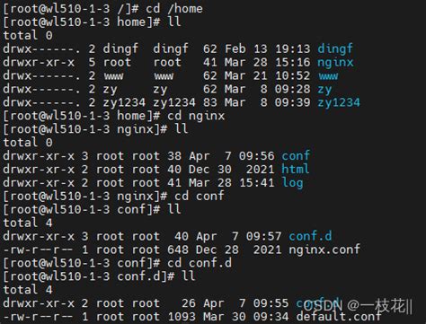 Docker Nginx Dockers Nginx Csdn