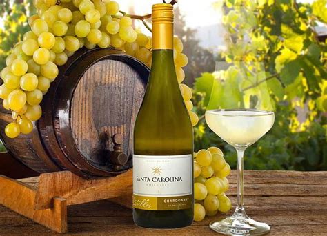 Vang trắng Santa Carolina Reserva Chardonnay Chile MEGA DUNK Đồ Uống Nhập Khẩu