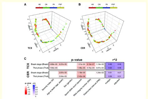 The Pseudo Temporal Trajectory For The Transcriptomes From Two Brain