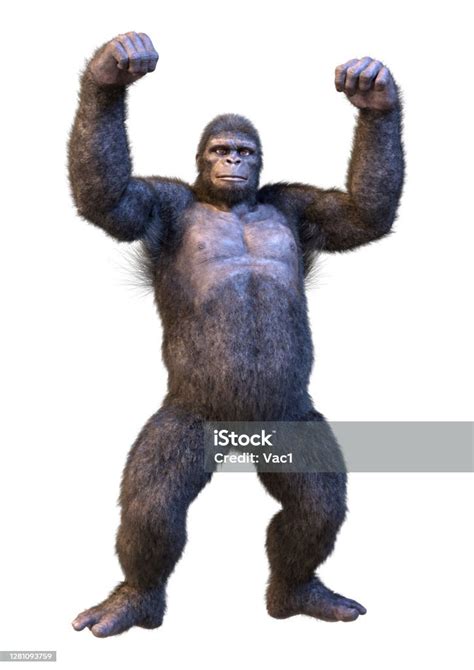 흰색에 3d 일러스트 고릴라 원숭이 0명에 대한 스톡 사진 및 기타 이미지 0명 3차원 형태 검은색 Istock