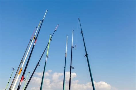 Fishing Rod Size Guide How To Choose Fishing Rod Length