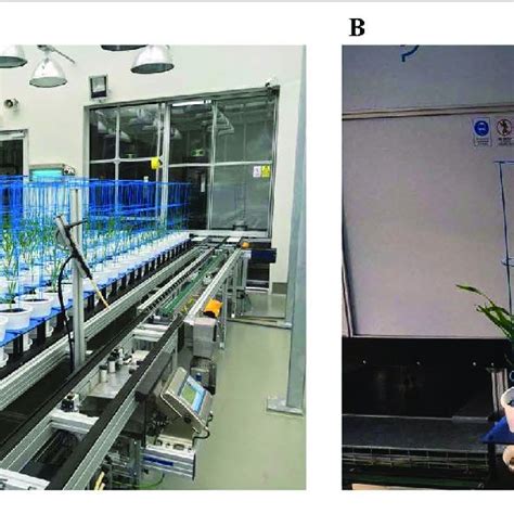 Image Acquisition And Analysis By The Automated Plant Phenotyping Download Scientific Diagram