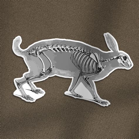 Rabbit X Ray Vinyl Sticker Etsy