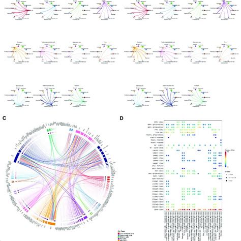 Single Cell Transcriptomic Analysis Of Os Lesions Ac T Sne And Download Scientific Diagram