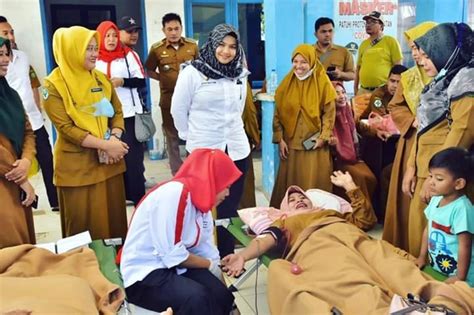 Hari Donor Darah Sedunia Wabup Madina Terima Kasih Pendonor Rutin