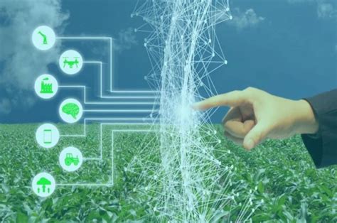 Best Agriculture Erp Softwares In India 2020
