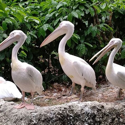 Moa Mina Moa Threads Say More