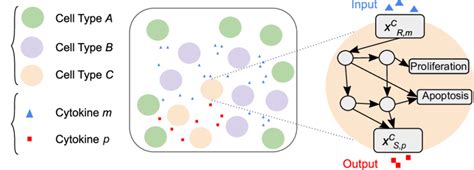 Schematic Representation Of The Multiscale Model Including Multiple