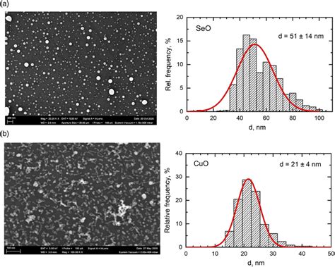 Sem Visualization Of A Seo Nps And B Cuo Nps Left Panels And Download Scientific Diagram