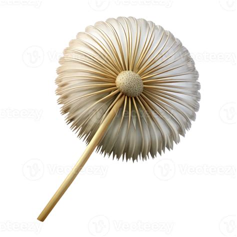 Sumptuous Acclaimed Photorealistic Isolated Cutout Ultra Detailed Single Piece Of Amber