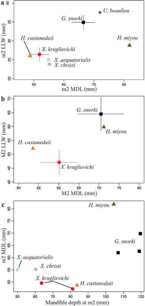 Bivariate Plots With Dental And Mandible Measurements Of Download