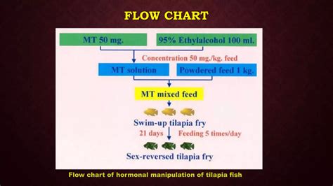Hormonal Sex Manipulation Ppt