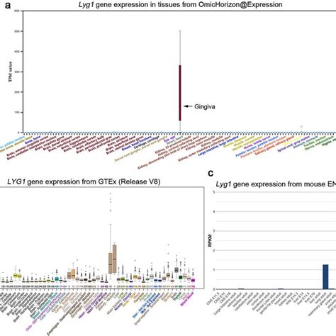 Expression Profile Of Rat Cytl1 A Cytl1 Expression Profiles In Rat