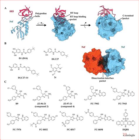 Jle Virologie Inhibitors Of Hiv 1 Nef Applications And
