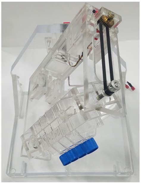 IJMS Free Full Text Influence Of Simulated Microgravity On Mammary