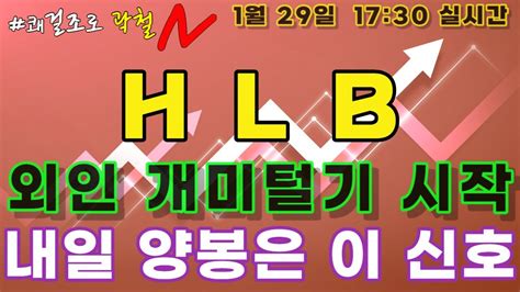 [hlb 주가분석] 외인의 들락날락에 휘둘리지마세요 팩트만 보고 가는 구간입니다 N형 상승파동의 시작 Hlb 에이치엘비