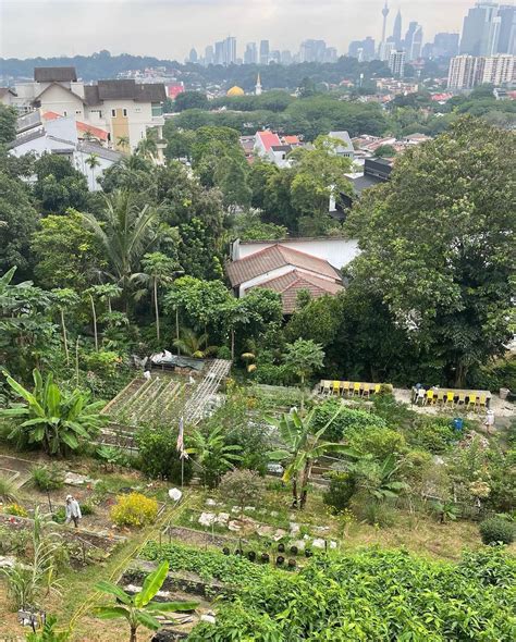 Ft Land Office Has Just Issued Kebun Kebun Bangsar A Final Eviction