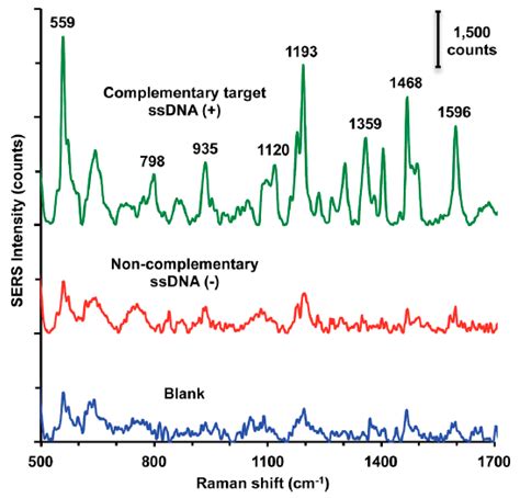 Molecules Free Full Text Surface Enhanced Raman Spectroscopy For DNA BiosensorsHow Far Are We