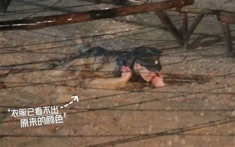 【王一博】《理想照耀中国》之《抉择》泥地匍匐花絮 Yibo Official Yibo Official 哔哩哔哩视频