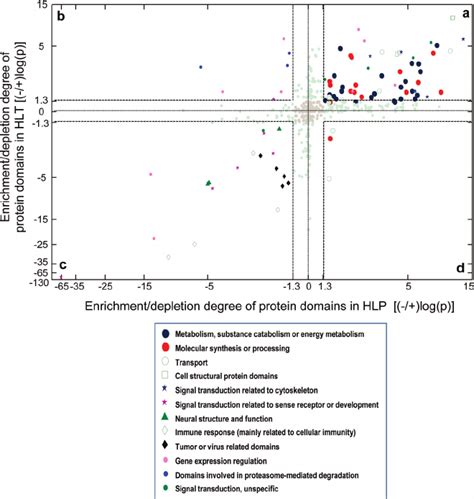 Protein Domain Characteristics In The Hlp And Hlt Each Point