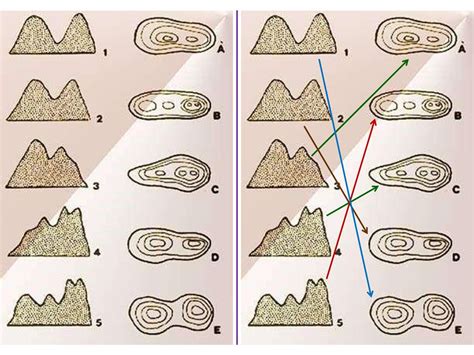 Los Mapas TopogrÁficos Ppt Descargar